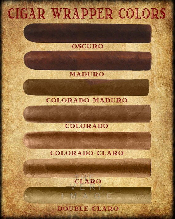 Cigar Art Cigar Wrapper Colors Chart Cigar Poster Tobacco