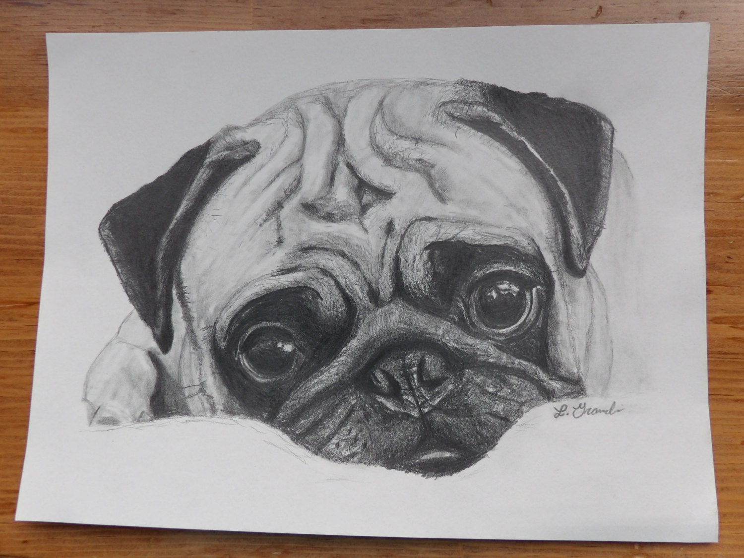 Pug pencil drawing print 8x10 card stock. Pug Print. Drawing