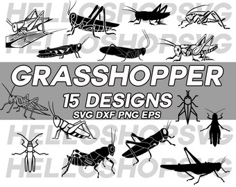 Bugs Clipart Cute Bugs Clipart Insect clip art Bee