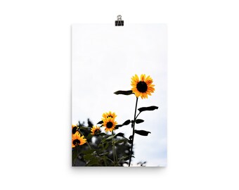 Sunflower poster | Etsy