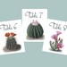 Cactus Table Numbers Desert Table Tents Cactus Table Cards