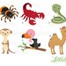 Desert animal clipart animal clipart desert clipart