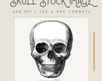 Sugar skull digital clip art White sugar skull clip art