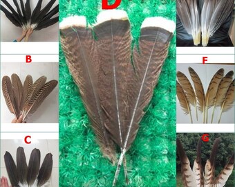 Eagle feathers | Etsy