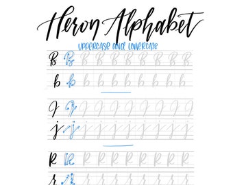 Lettering & Illustration Practice Sheets by ThePigeonLetters