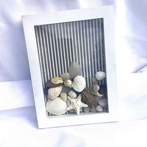 Seashell display box | Etsy