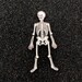 Skeleton Pin