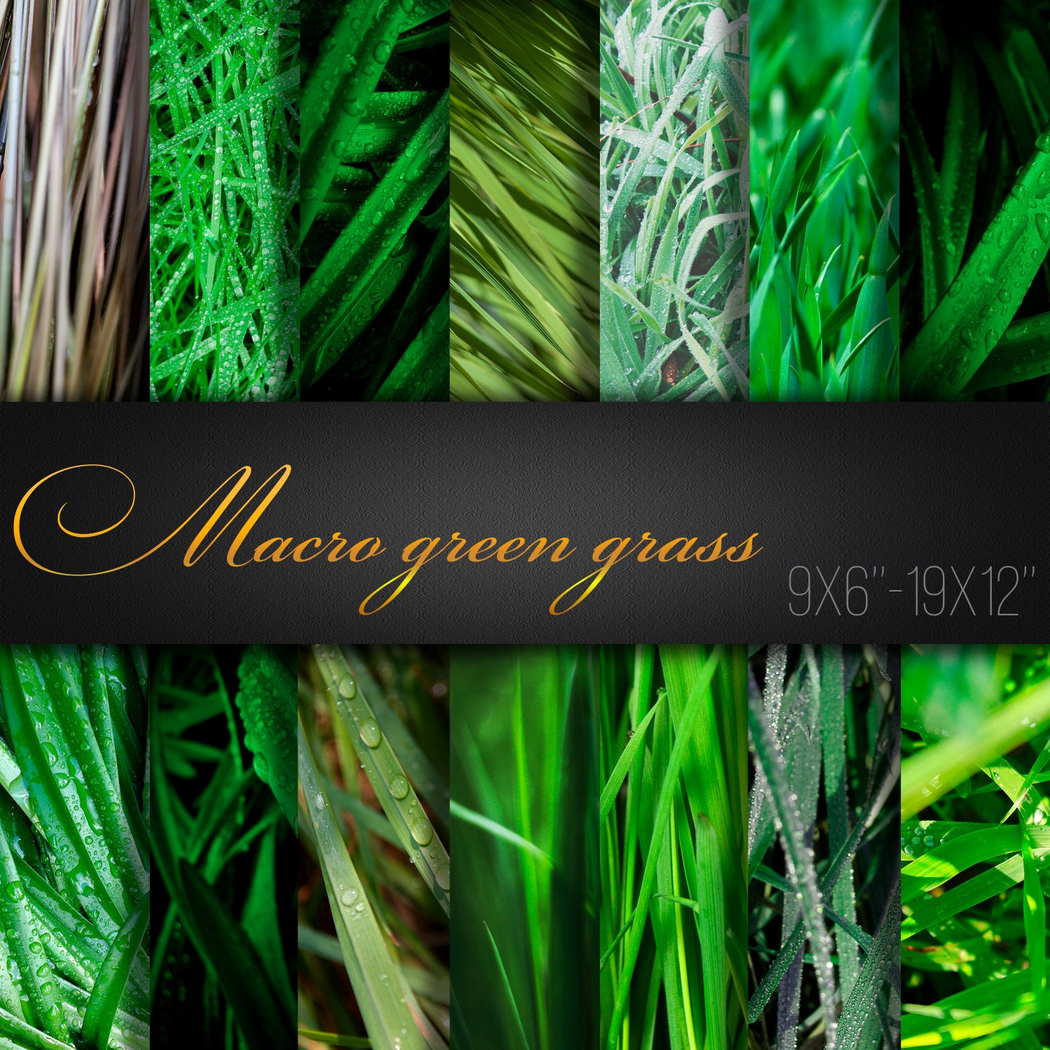 Macro Green Grass / Grass Paper Pack / Grass Scrapbook Paper