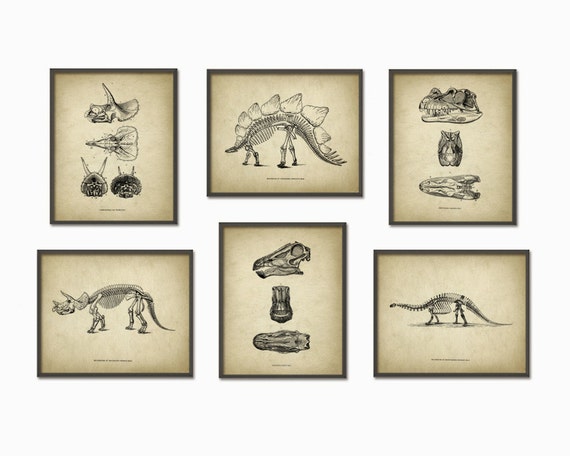 Dinosaur Print Set Of 6 Dinosaur Skeleton Prehistoric