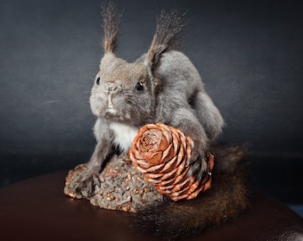Taxidermy squirrel | Etsy