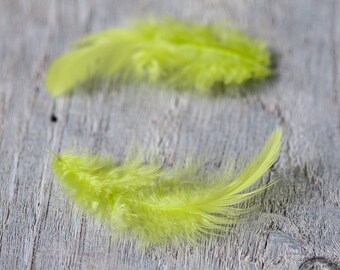 Lime green feathers | Etsy