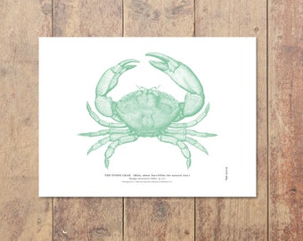Crab poster | Etsy