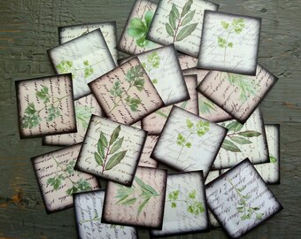 Herb labels | Etsy