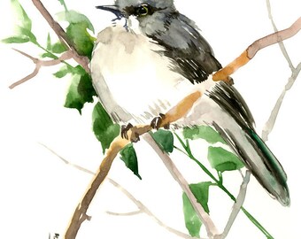 Mockingbird | Etsy