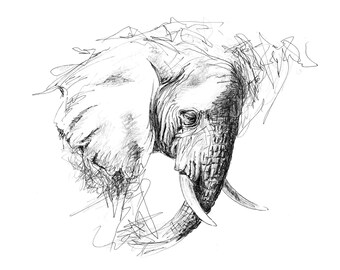 Animal drawing | Etsy