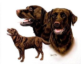 Chocolate lab fabric | Etsy