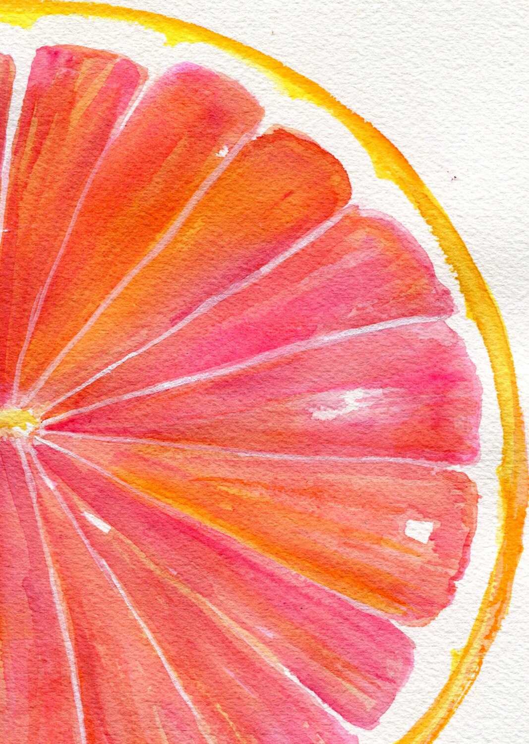 Grapefruit Original Watercolor Painting Fruit Art 5 x 7 pink