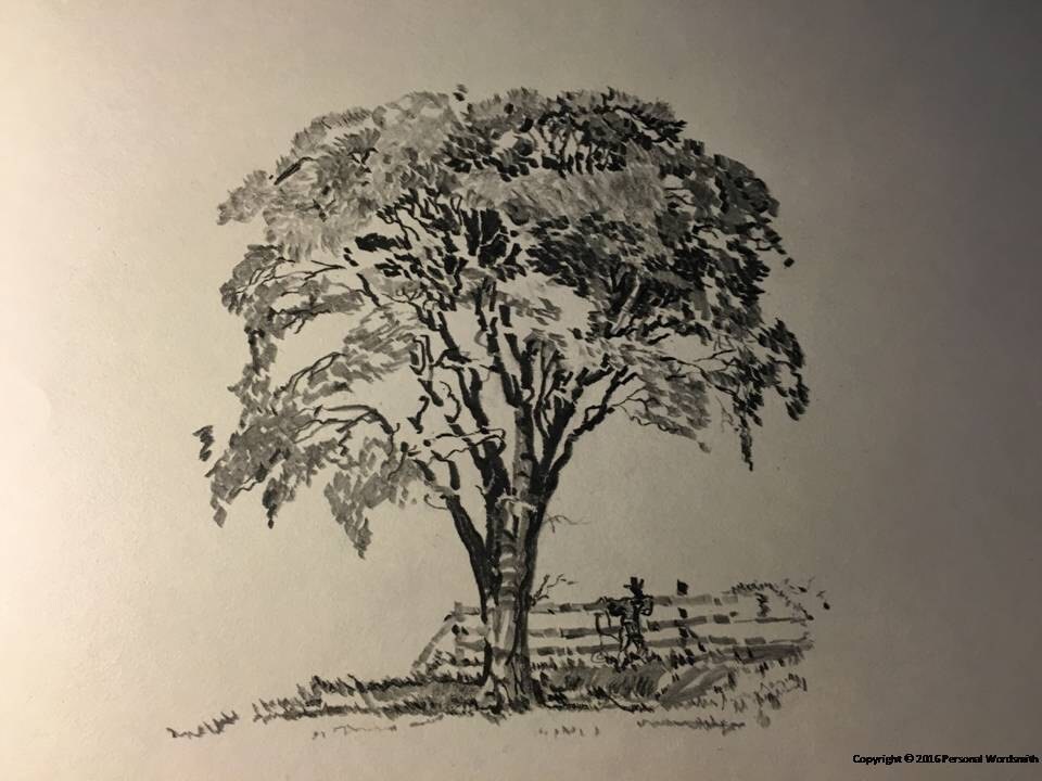 Black and White Tree Sketch Download Rustic Tree Art Digital