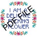 PATTERN: Cross Stitch I Am A Delicate Fcking