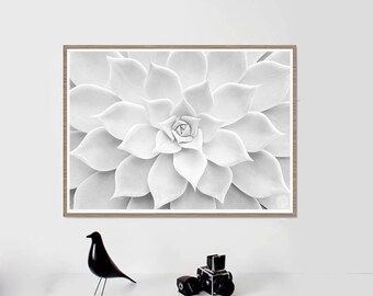 Cactus poster | Etsy