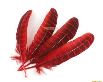 Red feathers | Etsy