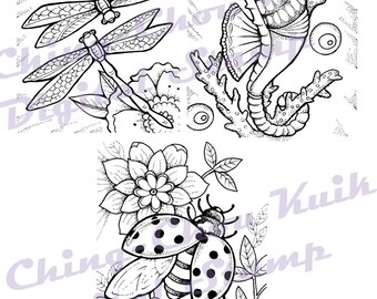 Fairy Wren Digital Stamp Instant Download / Art by