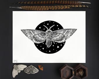 Moth print | Etsy
