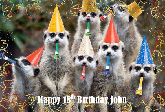 Anniversaire de Suricate personnalisé unique carte 18 21 30