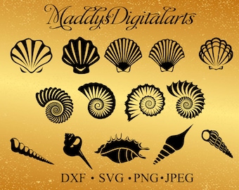 Shell svg | Etsy