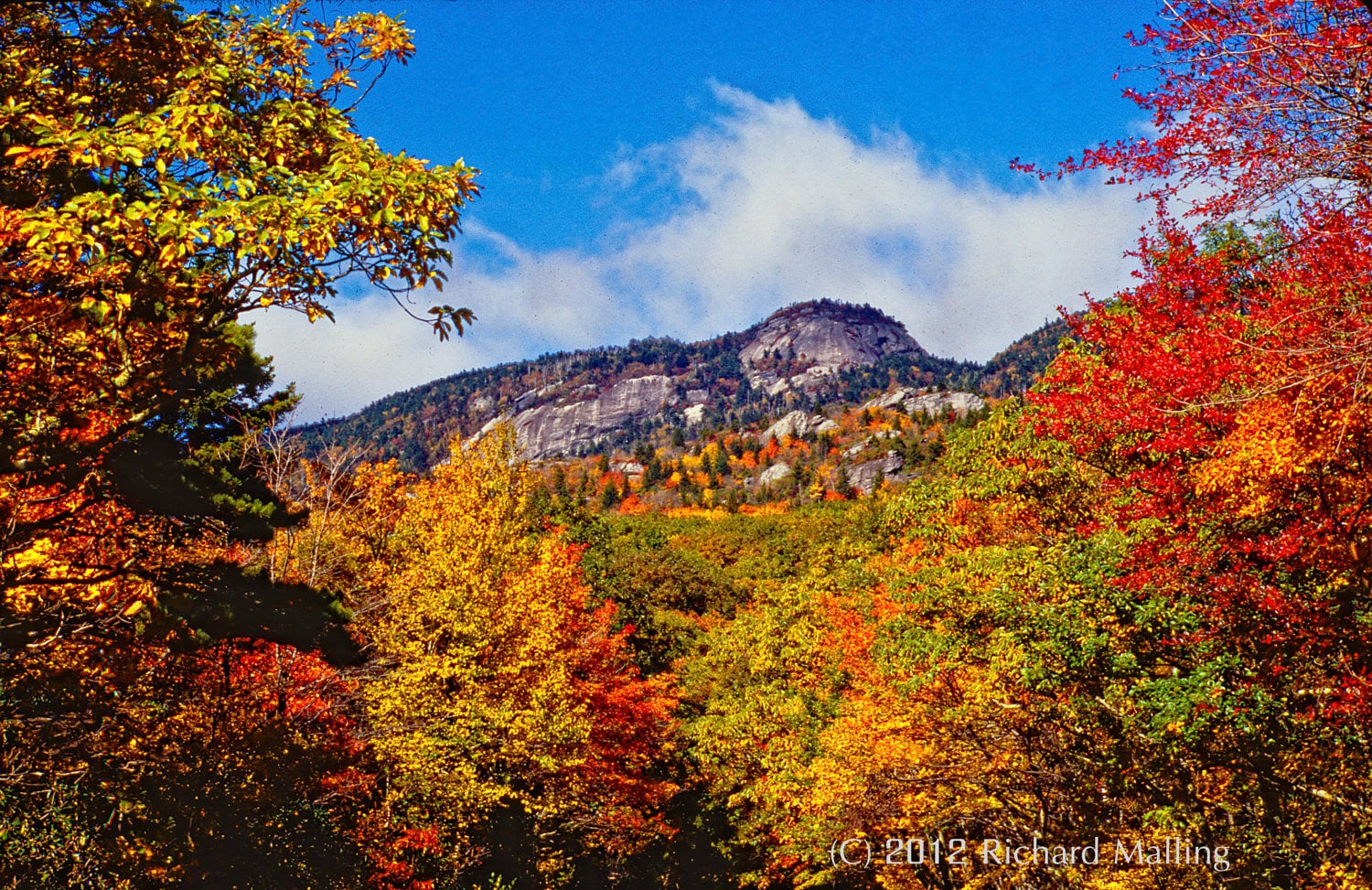 Grandfather Mountain Fall Colors