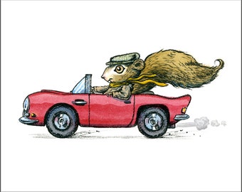 Squirrel driving car | Etsy
