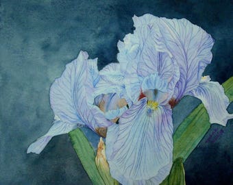 Iris artwork | Etsy