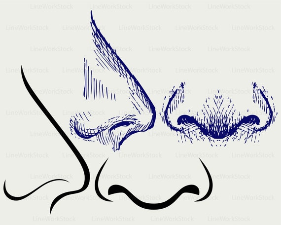 Nase Svg/Nase Clipart/Nase Svg/Nase Kontur/Nase Cricut/Nase