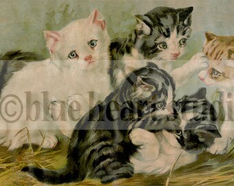 Antique cat print | Etsy
