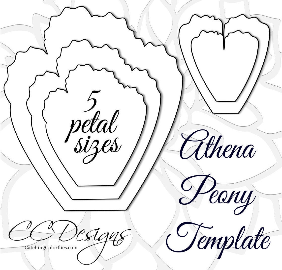 Giant Paper Peonies Printable PDF Flower Templates Peony PDF