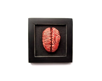 Ceramic Brain Sculpture Desk accessory Anatomy sculpture