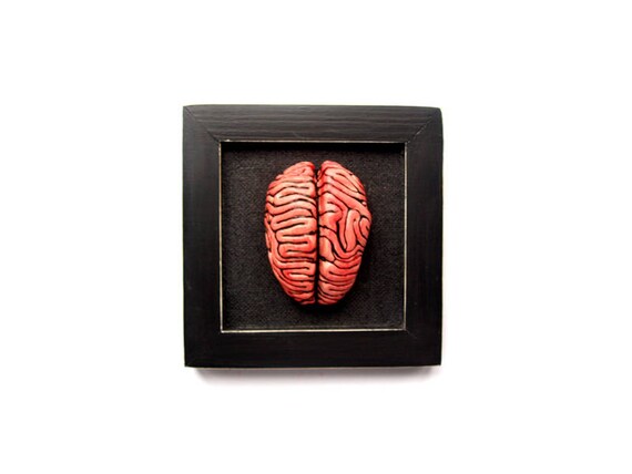 Brain sculpture Ceramic brain sculpture Brain wall art