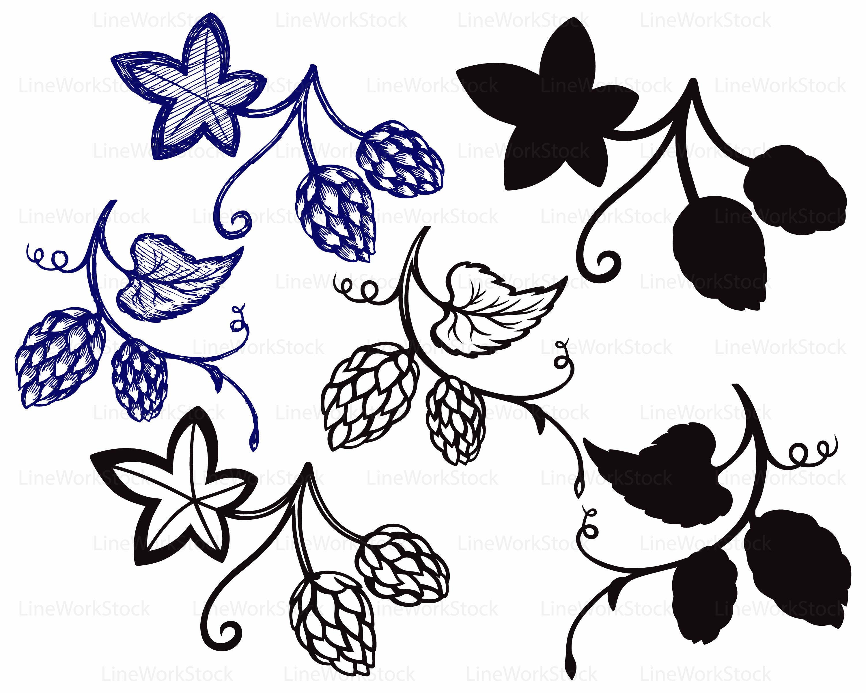 Hops svg/hops beer clipart/hops plant svg/hops silhouette/hops
