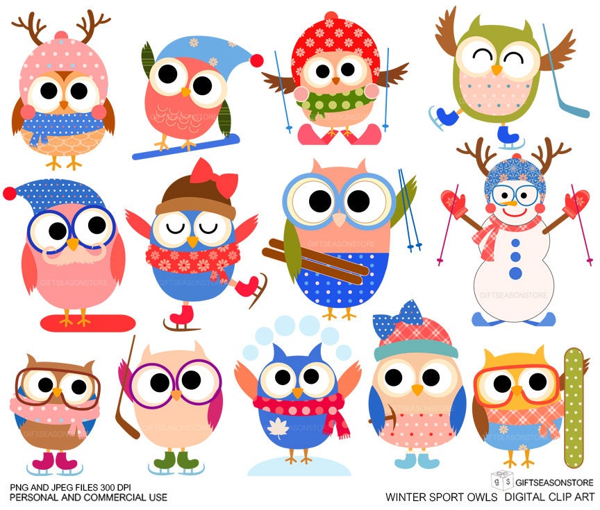 Winter sport owl Digital clip art for Personal and Commercial