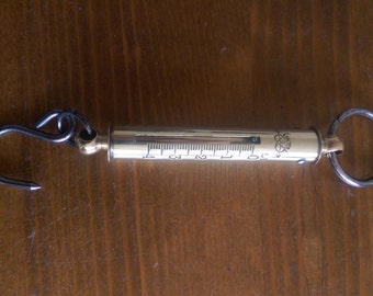 Salter Fish Scale 50 LB Made in England Brass Pocket Balance