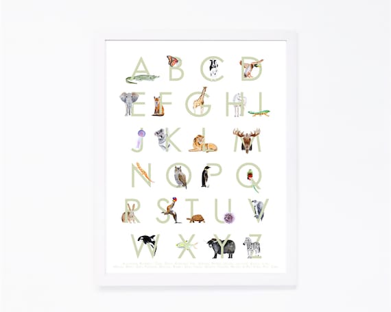 Animal Alphabet Art Alphabet Wall Art Child's Room