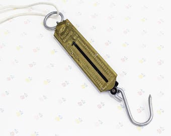 Salter Fish Scale 50 LB Made in England Brass Pocket Balance