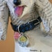 French Poodle Unique One-of-a-Kind Whimsical Paper Mache