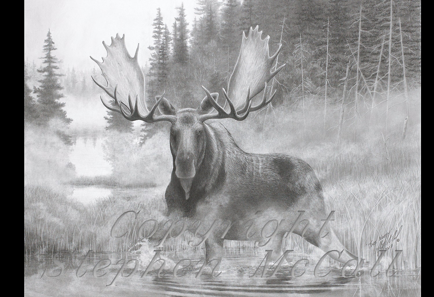 Original pencil drawing The North by Stephen