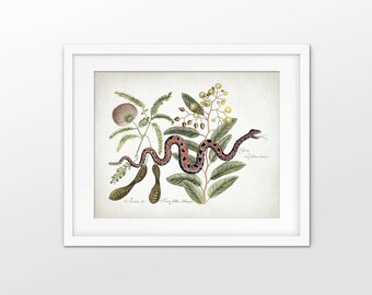 Snake art | Etsy