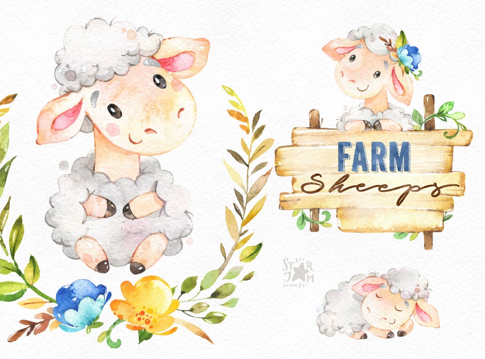 Farm. Sheeps. Watercolor country clipart little lamb floral