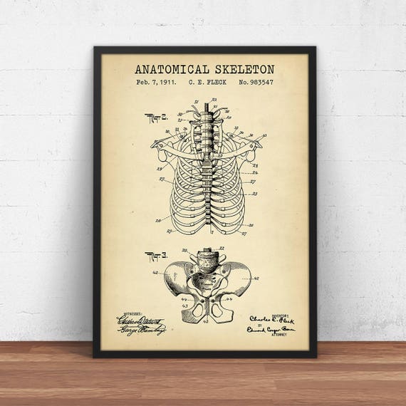 Anatomy Print Anatomical Skeleton Patent Digital Download