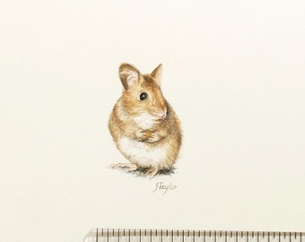 Field mouse painting | Etsy