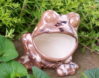 Frog decor | Etsy