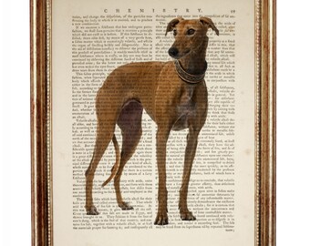 Greyhound poster | Etsy
